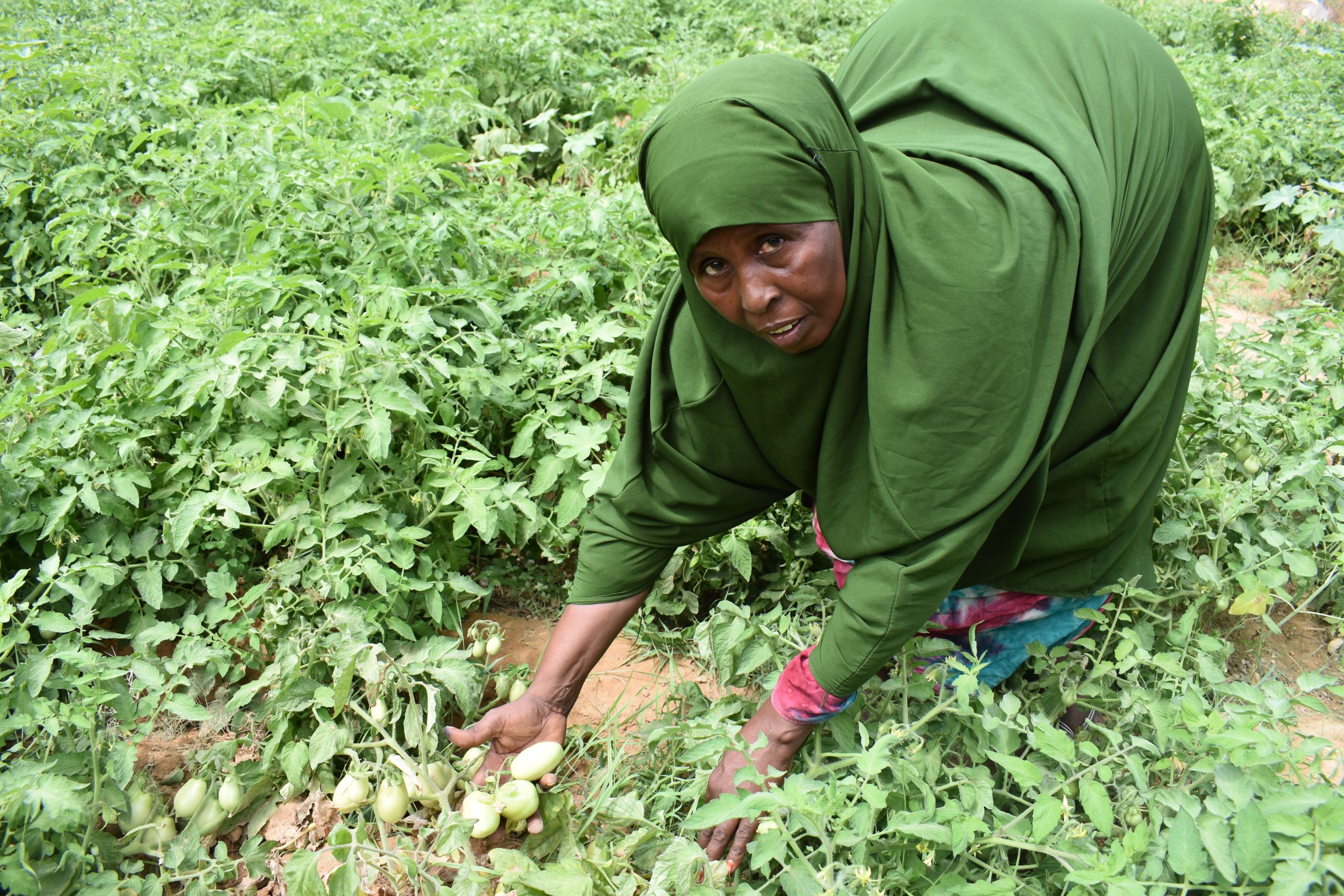 Village and Saving Loans Association Changing the Narrative of Rural ...